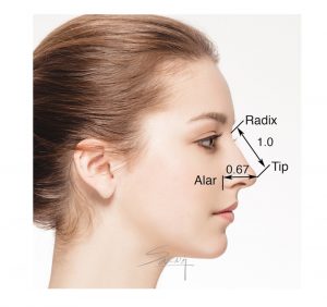 Rhinoplasty (Nose Job) – Important Information